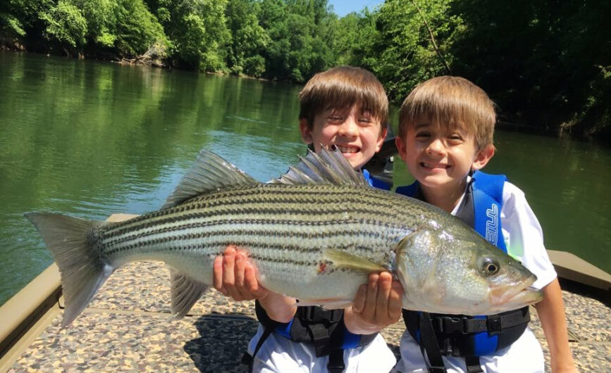 Competitive Fishing and Responsibility - Fly Fishing | Gink and ...