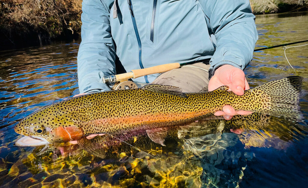 Winston Air 2 “Dark Horse” Review - Fly Fishing | Gink and Gasoline ...